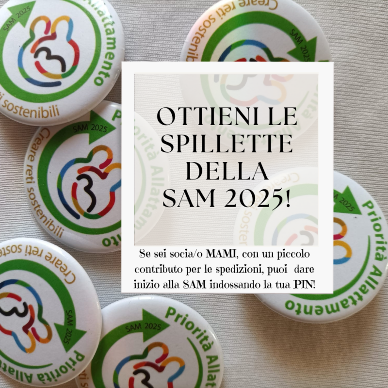 LE SPILLETTE DELLA SAM 2025 - MAMI